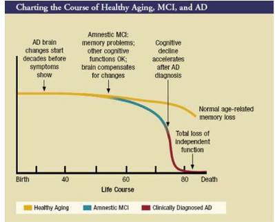 Treatment of MCI: What the SLP needs to know - Article 2138