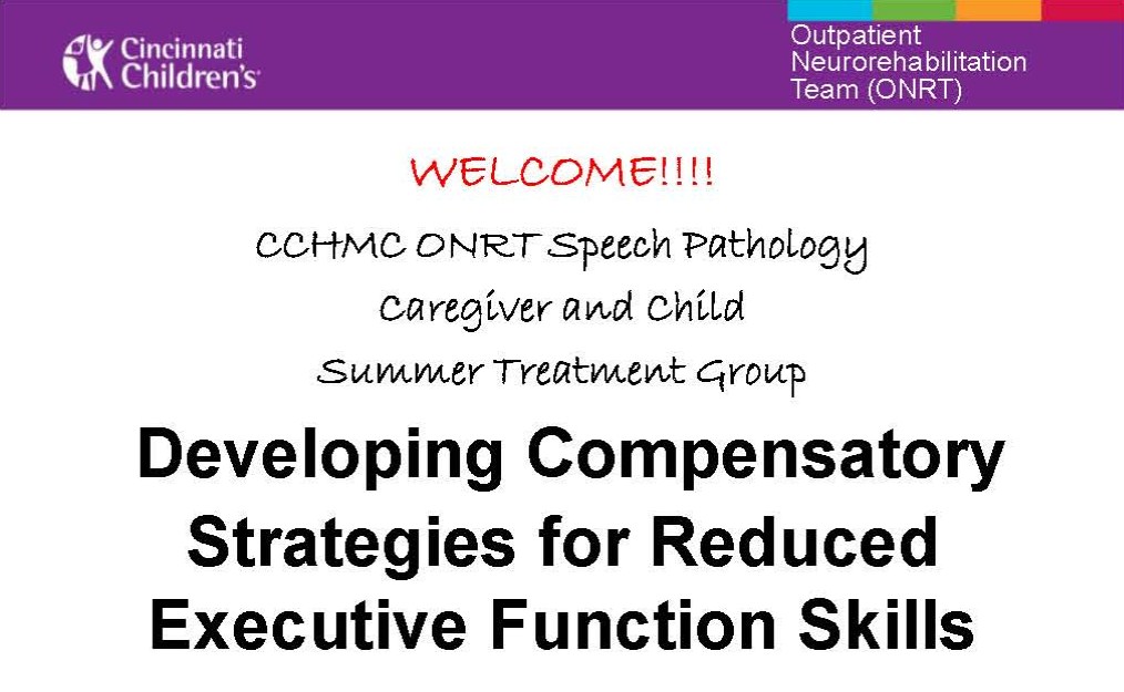 Developing Strategies for Executive Function Deficits: A group model ...