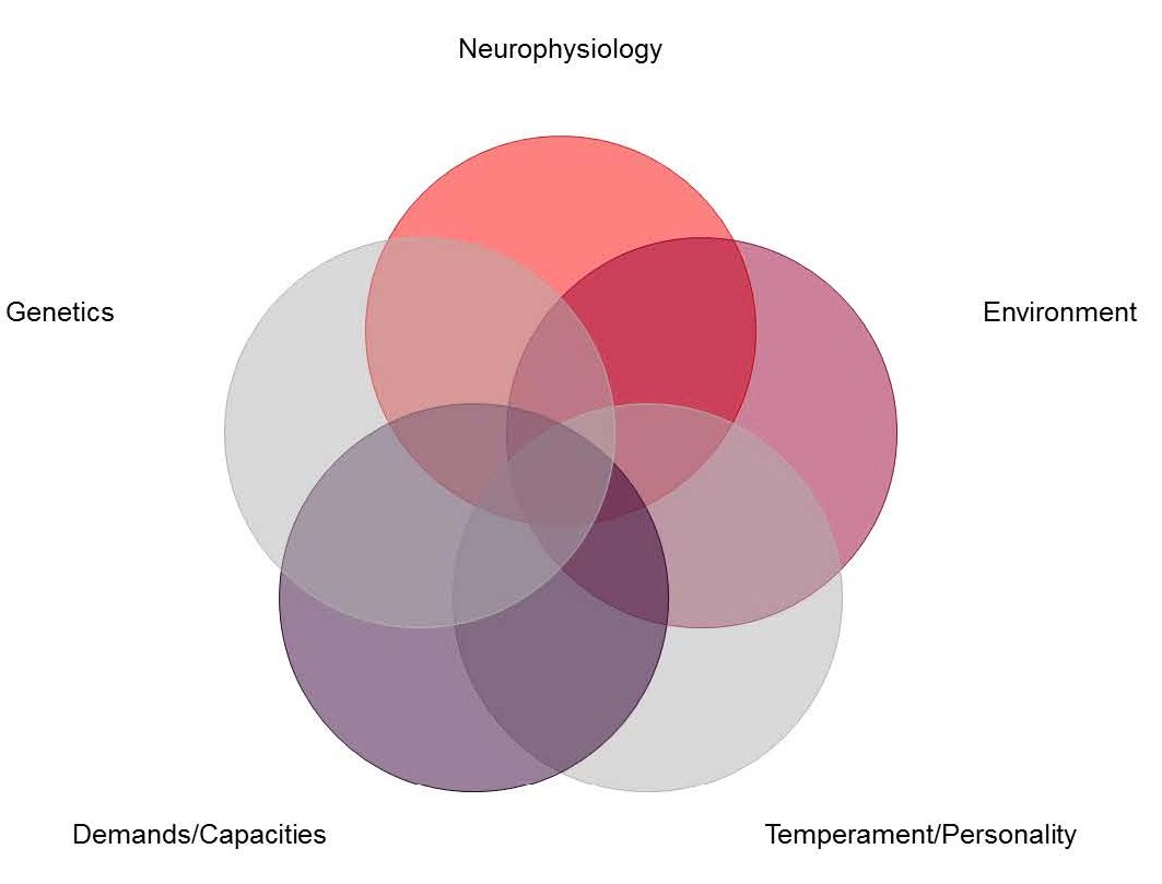 Risk Factors for Young Children who Stutter - Article 2379